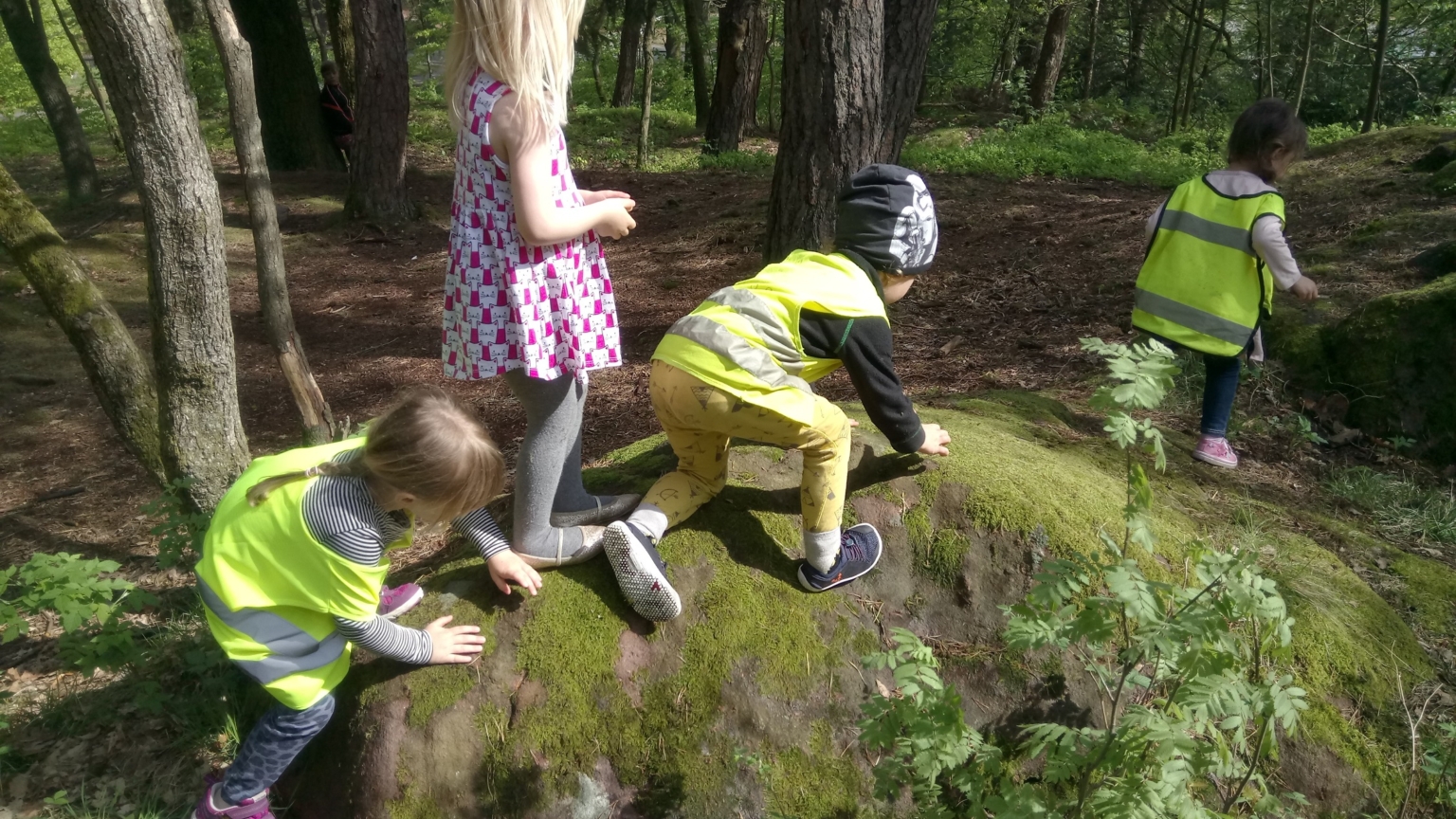 Utelek – Montessoriförskolan Vega